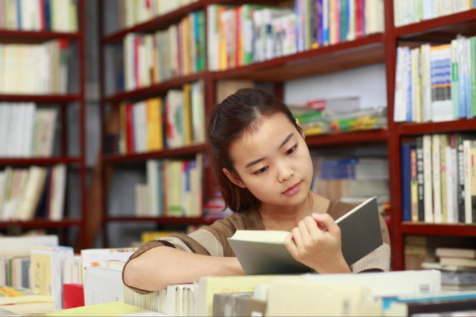 Studying Literature: Is There a Method Behind the Madness? | FamilyTutor